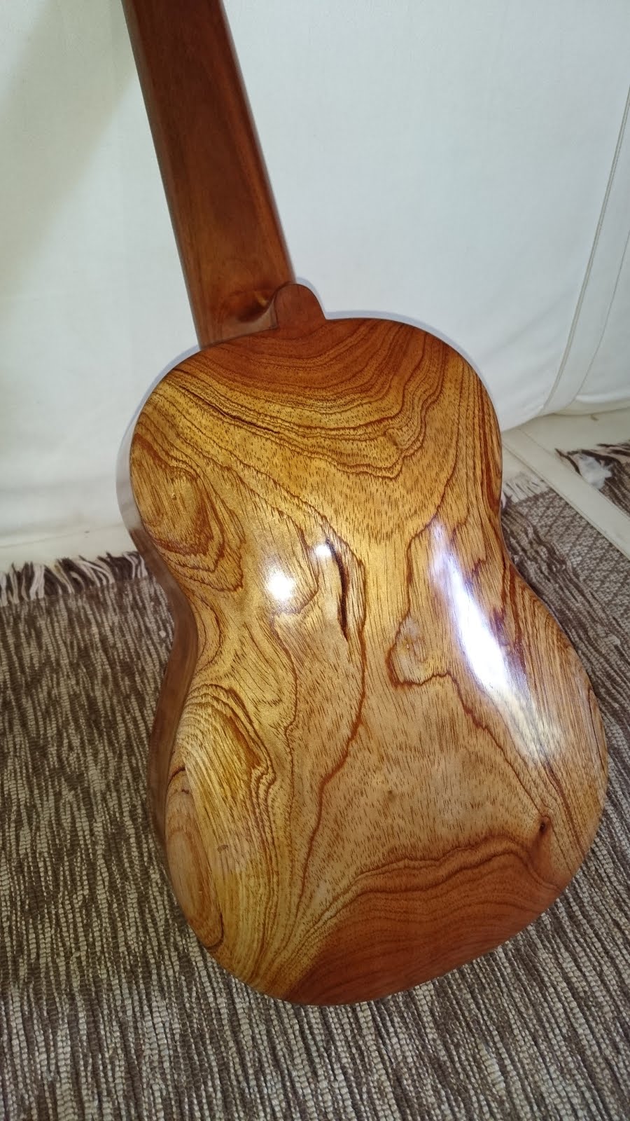 Mi Ronroco: Mi ronroco