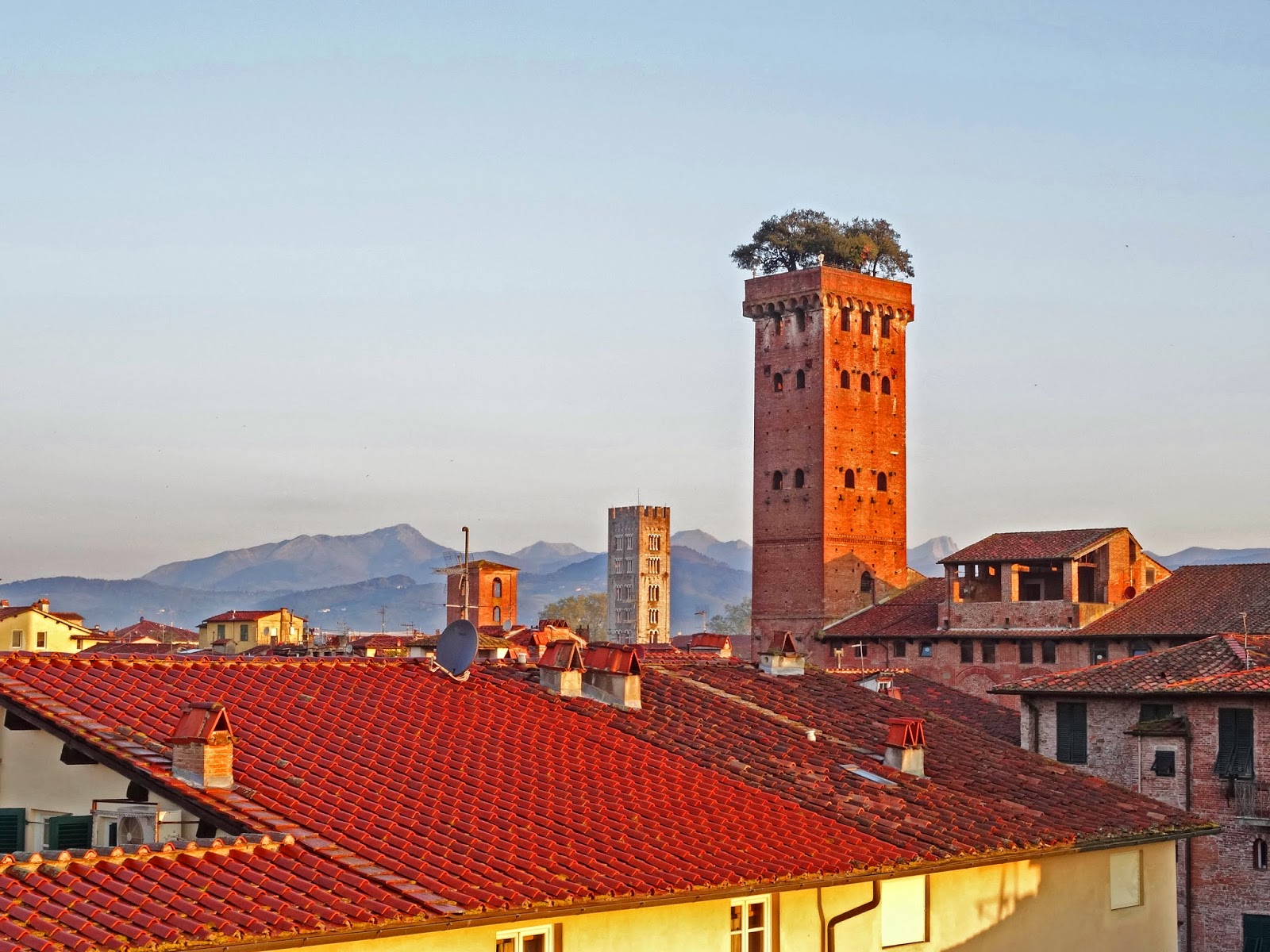 Joe's Retirement Blog: Guinigi Tower, Lucca, Tuscany, Italy