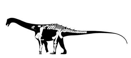 Blog de la Vida Prehistórica: Neuquensaurus