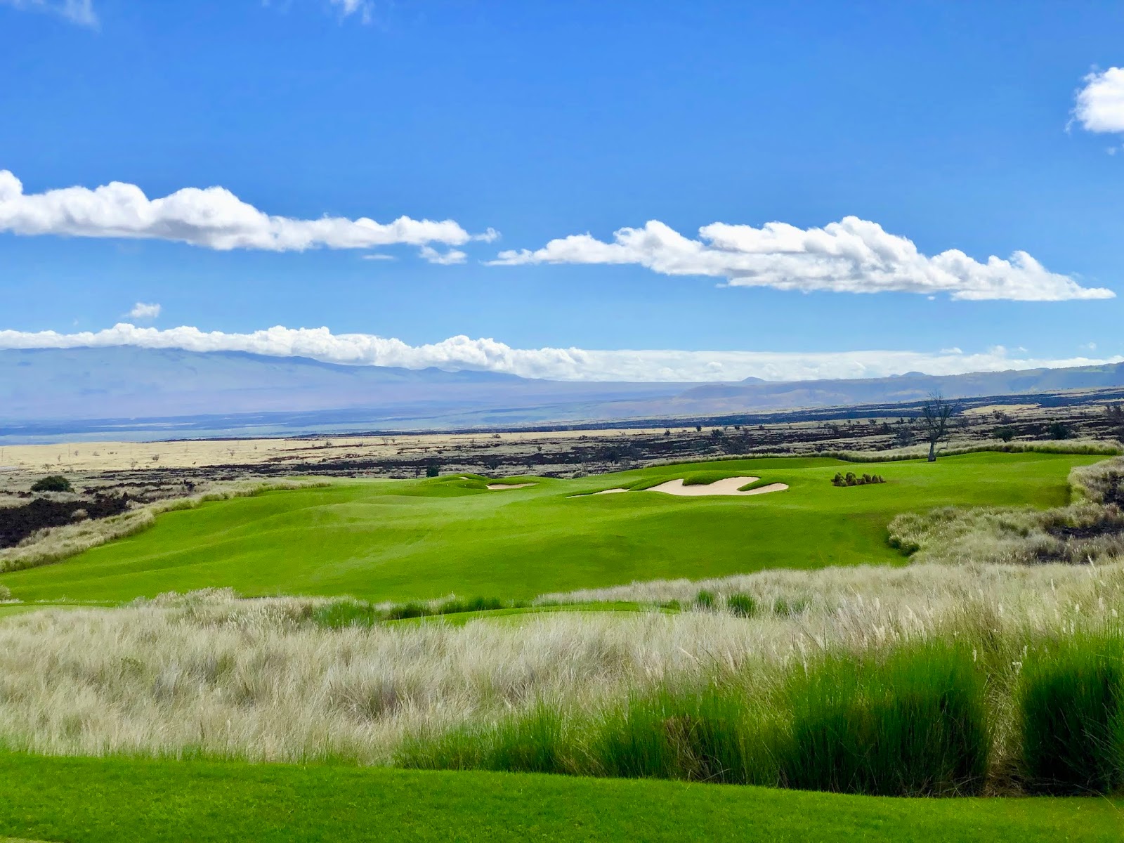 GREAT EATS HAWAII: NANEA GOLF CLUB