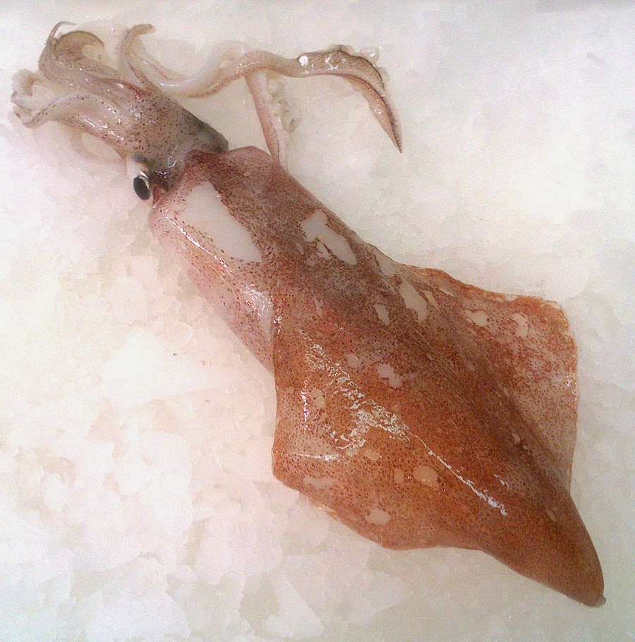 Peix Fresc Toni: 2013