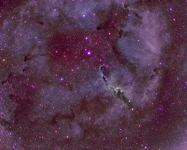 Astrofotografía Urbana: Nebulosa de la Trompa del Elefante (NGC 1396 ...