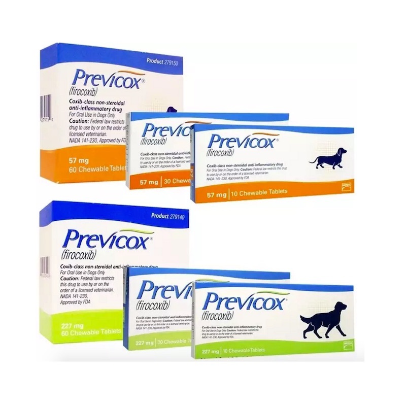 Online Pet Medicine - PetRx2Go: FAQs about inflammation and pain in ...