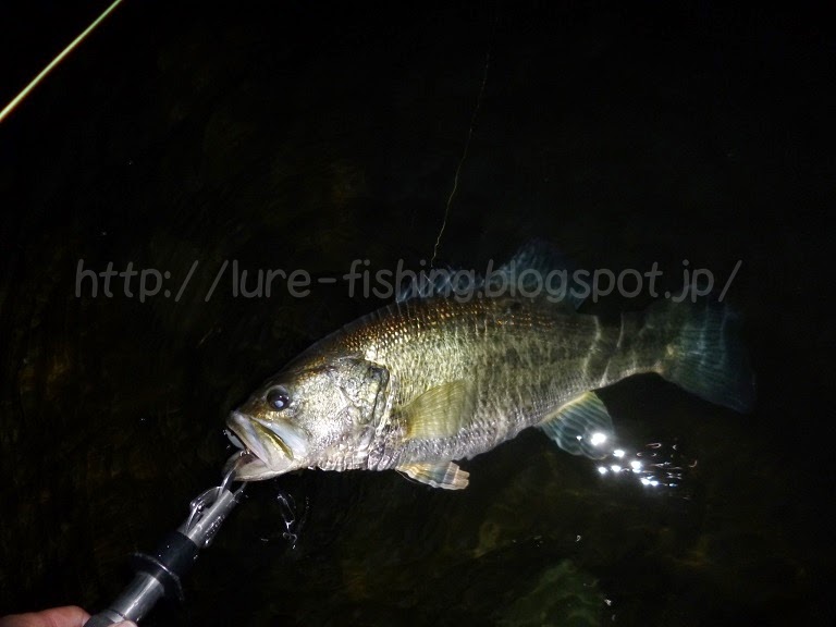 !! LURE FISHING !!: 20140411 Lake Biwa 琵琶湖