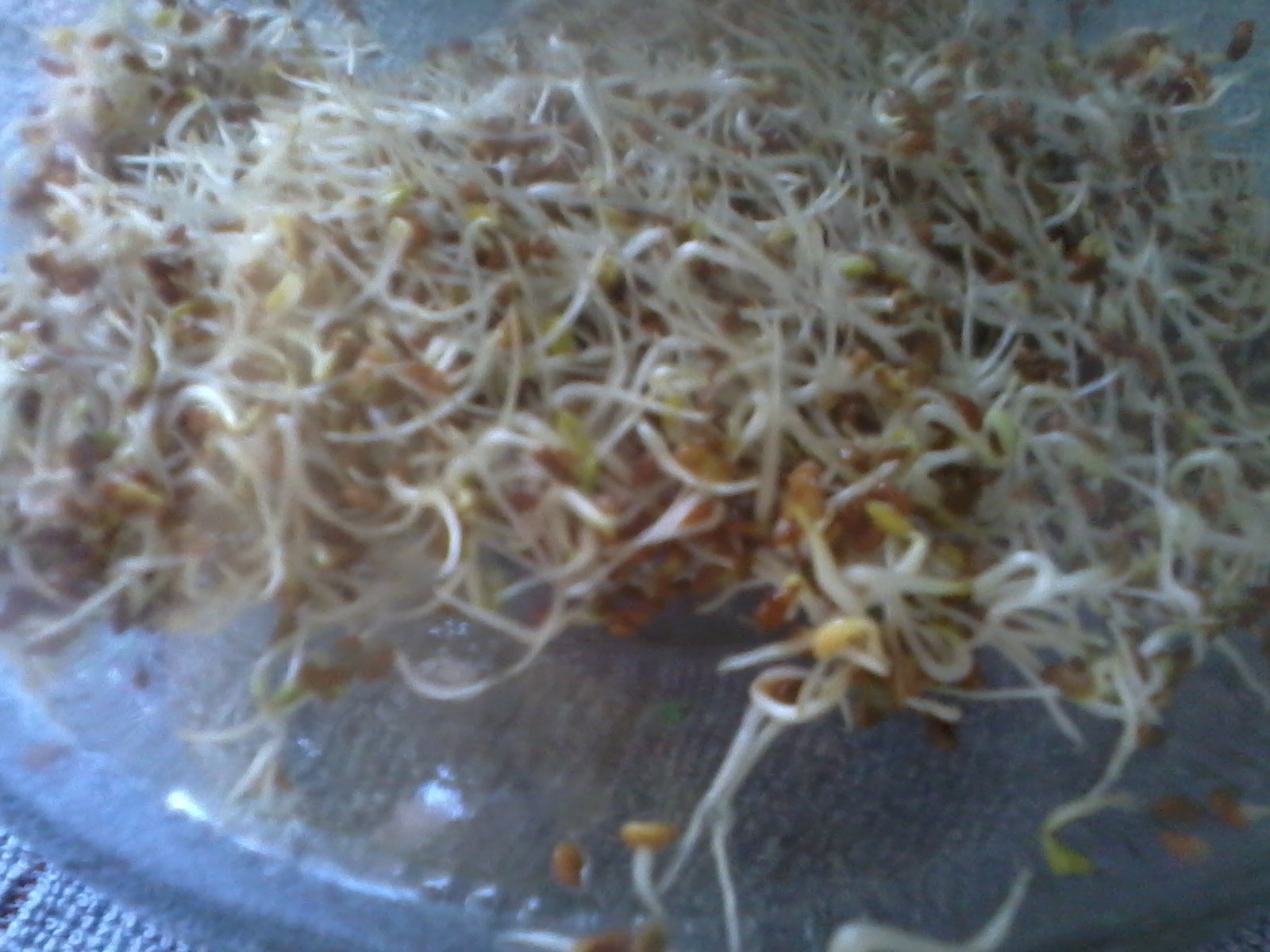 Tu Espacio Saludable