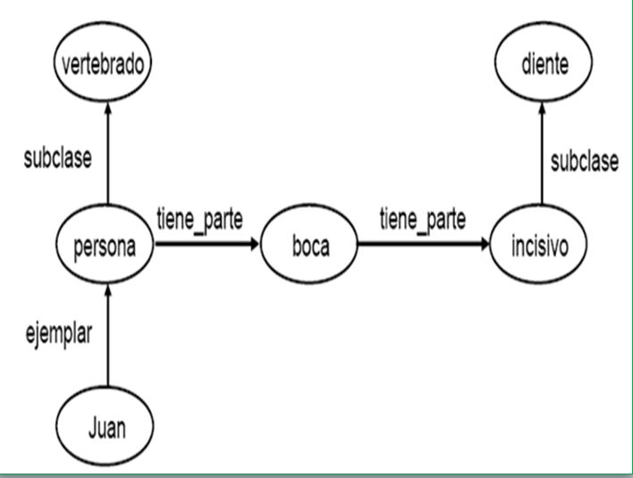 ejemplos de redes semanticas : 3 Ejemplos de redes semanticas