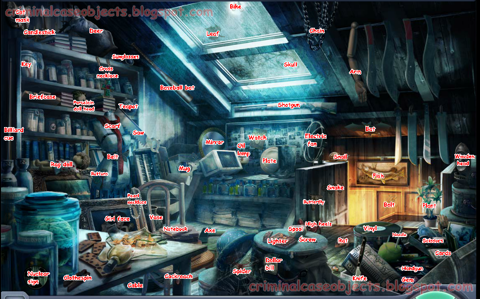 Case 23 - Dusty Attic hints | Criminal Case Objects