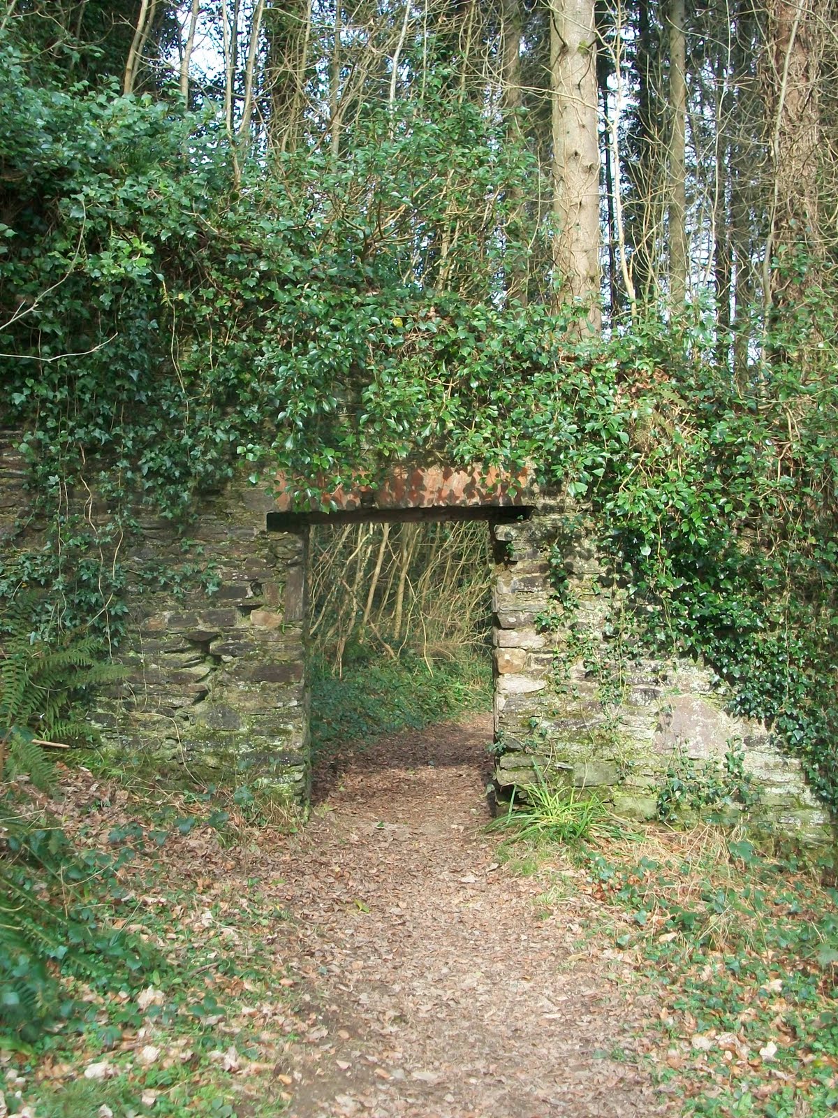 Outdoors Ireland: Day 5: Mullinavat - Inistioge