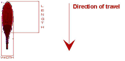 All About Forensic & Investigative Sciences: Blood Spatter Analysis