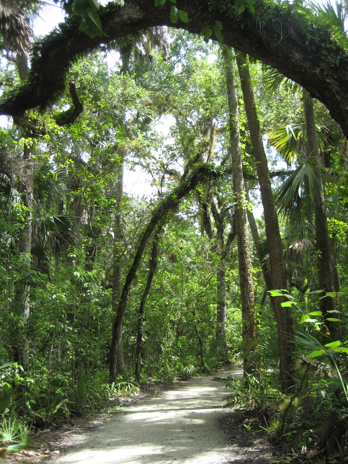 Fleurs di Lis: Babcock ~The Working Ranch