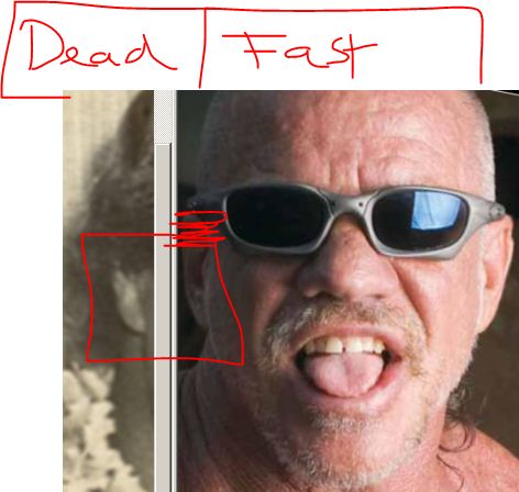 Welcome to Mossad-ALF´s funny little blog...: SURFERS 1949 eddie ...