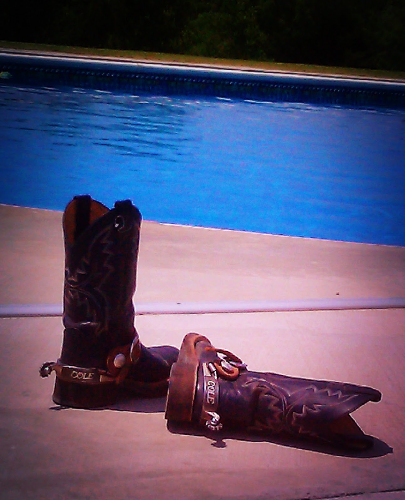 Touch Of The Tumbleweed, By Prairie Girl