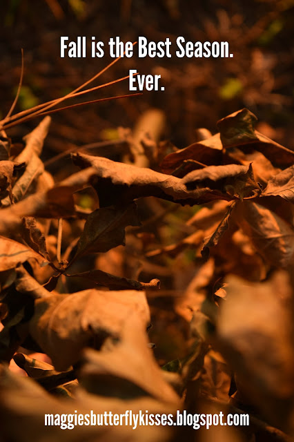 Butterfly Kisses: Seven+ Reasons Why Fall is the Best Season. Ever.