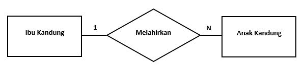 PEMBAHASAN LENGKAP TENTANG DIAGRAM HUBUNGAN ENTITAS