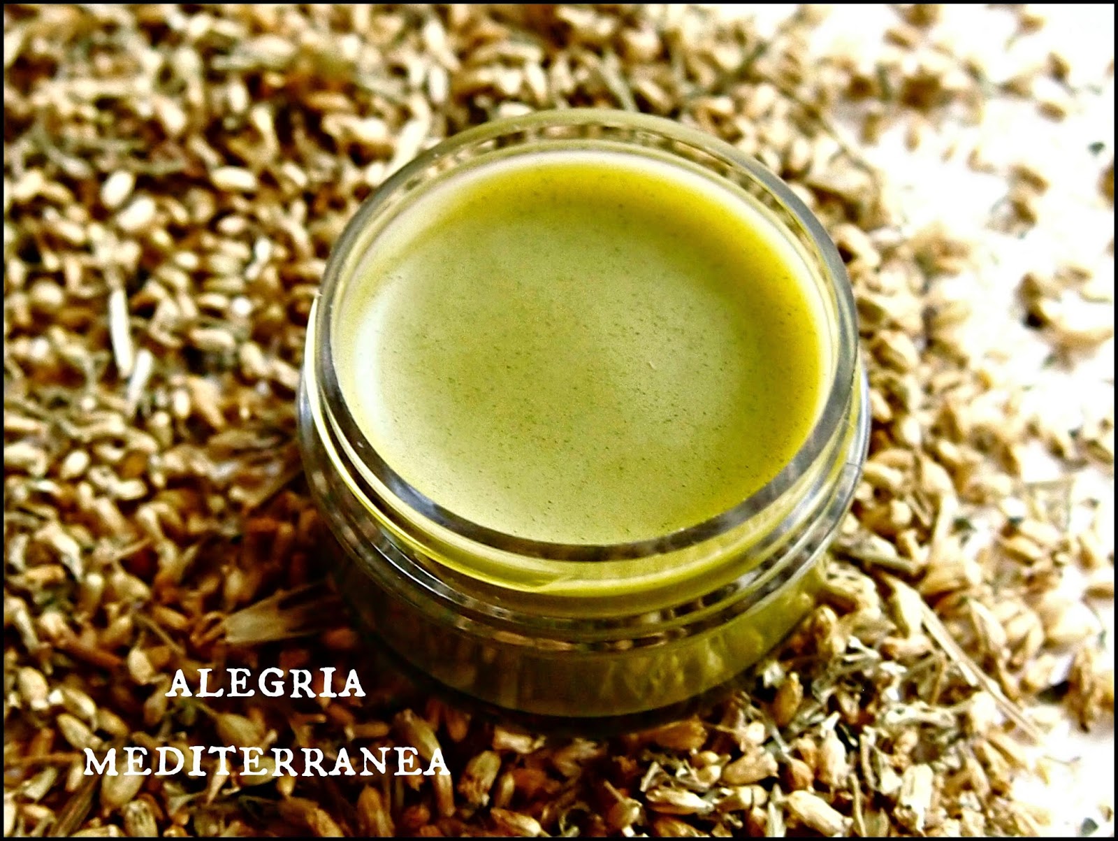 ALEGRIA MEDITERRANEA: POMADA de Manzanilla y Milenrama /Chamomile and ...