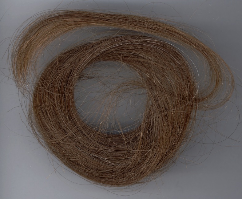 Reader's Almanac: Christoph Irmscher on Henry Wadsworth Longfellow and ...