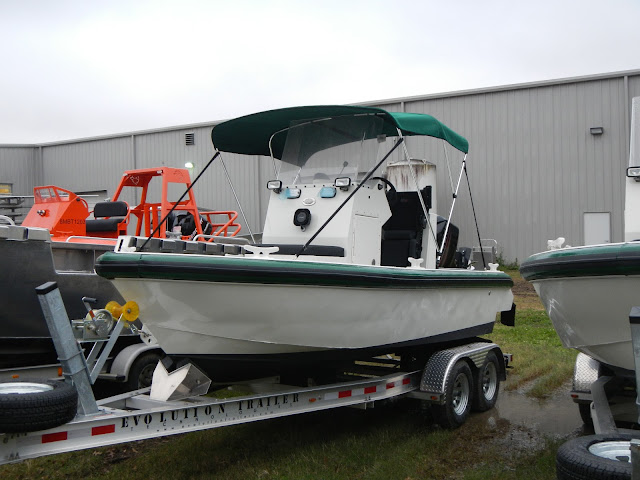 Double Webbie Single Shark: A Quick Update by Eric