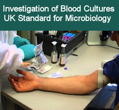 Medical Laboratory and Biomedical Science: UK Standard of Blood Cultures