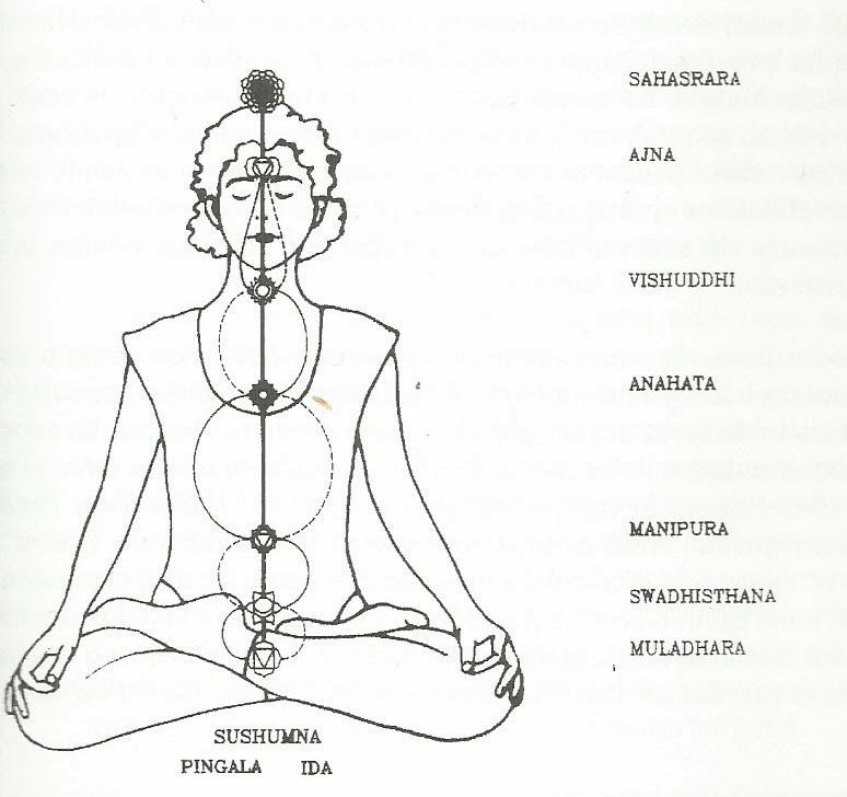 CLASES DE YOGA: Los Nadis y los Chakras - Anatomía psíquico-energética