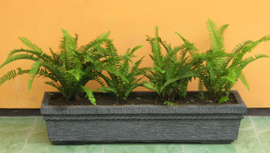 POT BUNGA BERBAGAI MACAM VARIAN