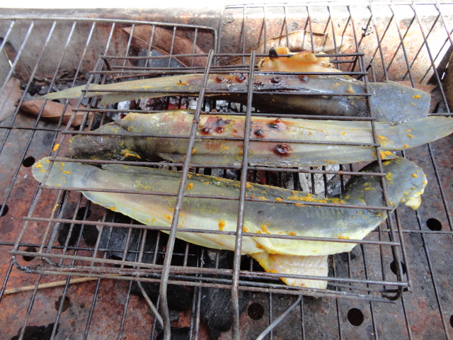 Cook 4 You & Me......: Ikan Keli Bakar dengan Air Asam Mangga-Grilled ...