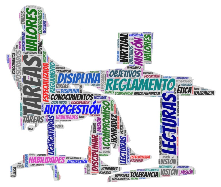 UnADM Ingeniería en Desarrollo de software: Actividad 1. Modelo ...