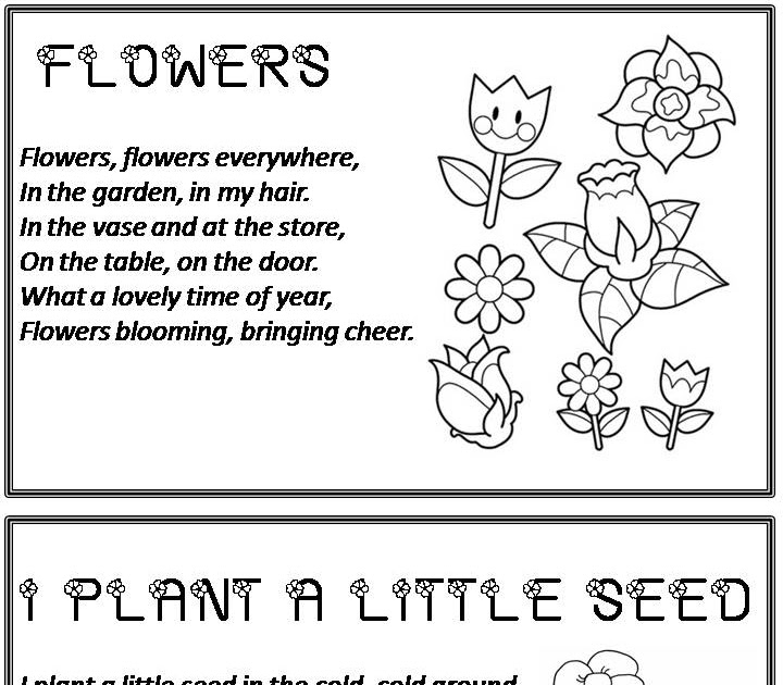 Sheenaowens: Flower Poems For Kids