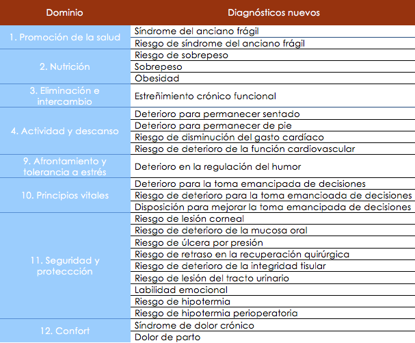 El diagnóstico enfermero: NANDA 2015-2017