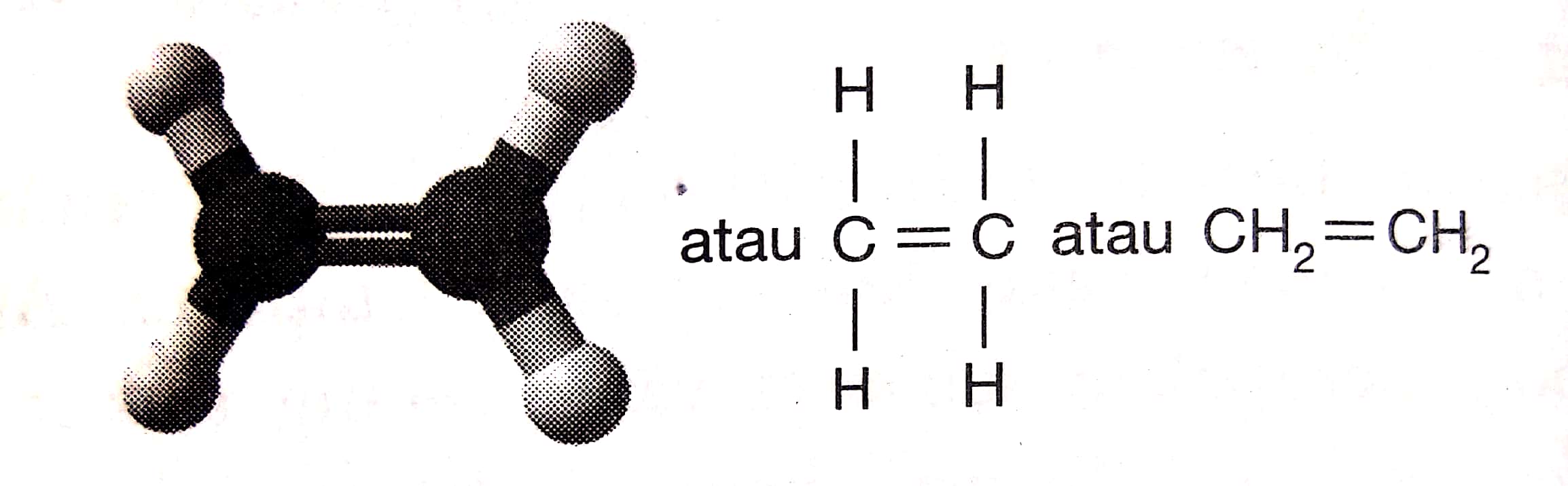 CHANNEL EDUCATION: TATA NAMA ALKENA DAN ALKUNA