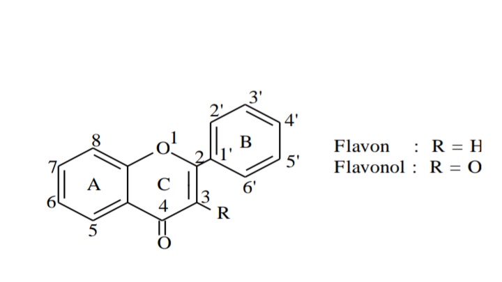 SAR FLAVONOID TERPRENILASI