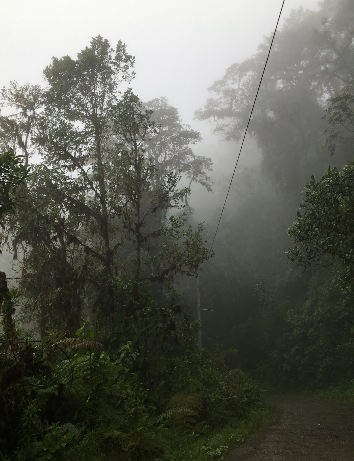 Explorations of an Ecologist: A quick trip to Ecuador: Part 1 (Mindo ...