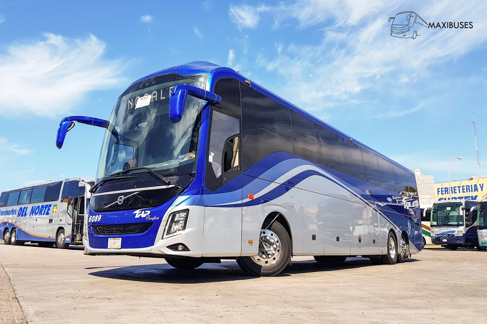 MAXIBUSES: TRANSPORTES Y AUTOBUSES DEL PACÍFICO, CONFORT (TAP CONFORT)