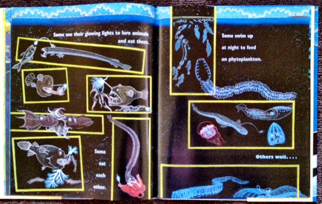 366 Books: My Year of Reading: 216. Ocean Sunlight: How Tiny Plants ...