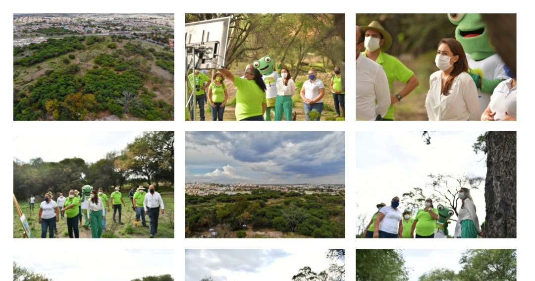 ¡GRAN LOGRO AMBIENTAL! TERE JIMÉNEZ CONCRETA RESCATE DEL ÁREA NATURAL ...
