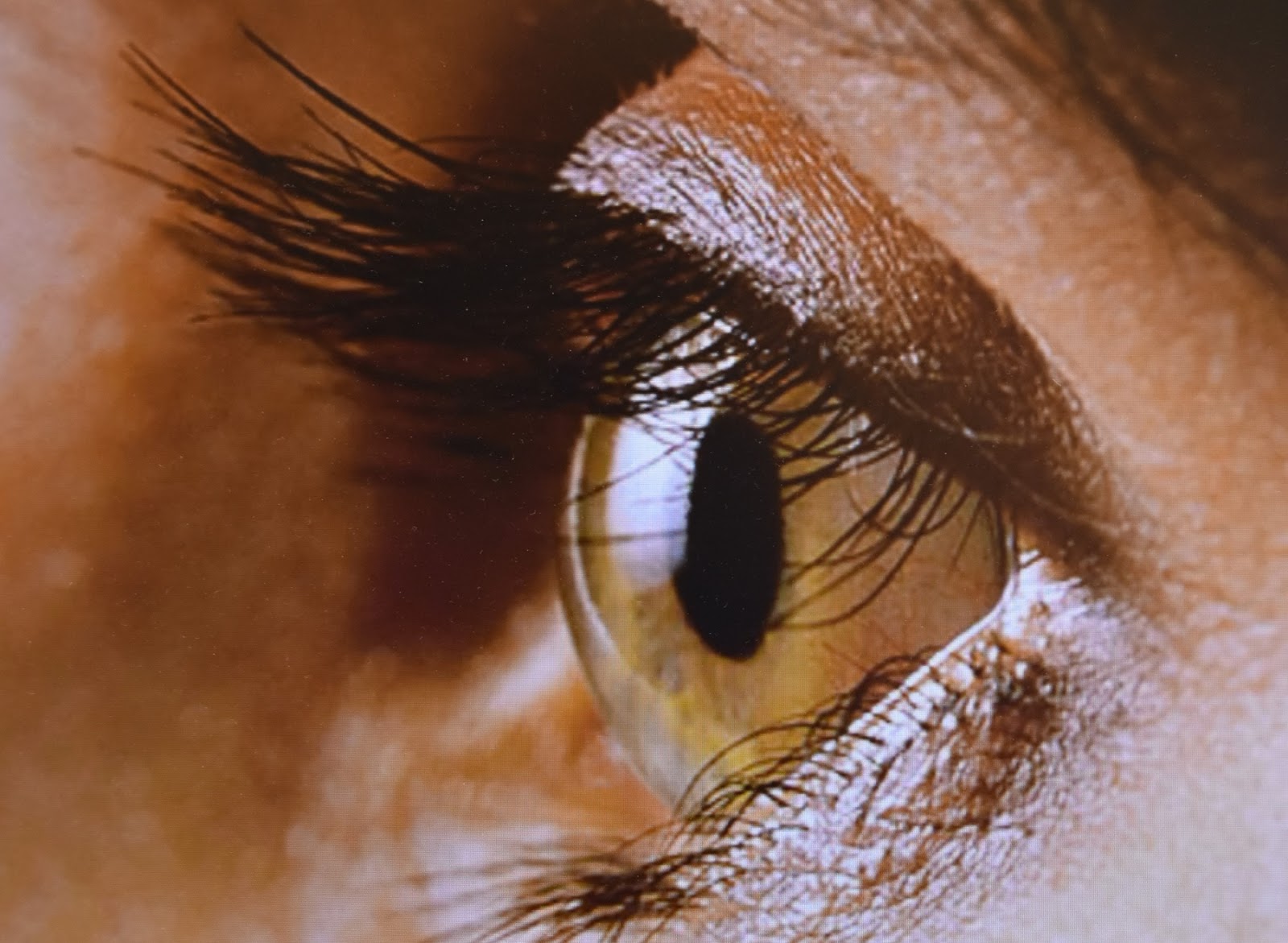 Samm-sammult tarkuse poole: Aktiivõpe teemal "Meeleelundid"