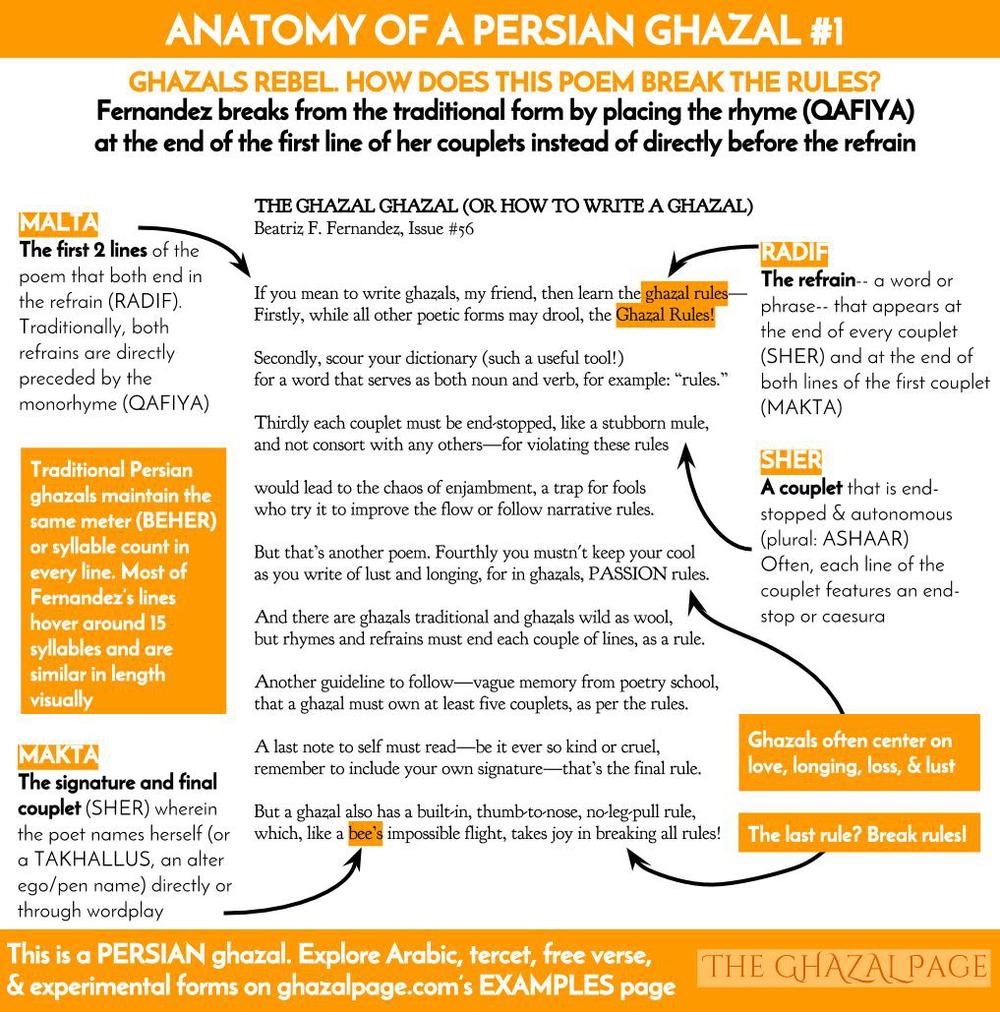 Blog As If No One Is Reading The Ghazal Page Is Back and Contains blog-as-if-no-one-is-reading-the-ghazal-page-is-back-and-contains