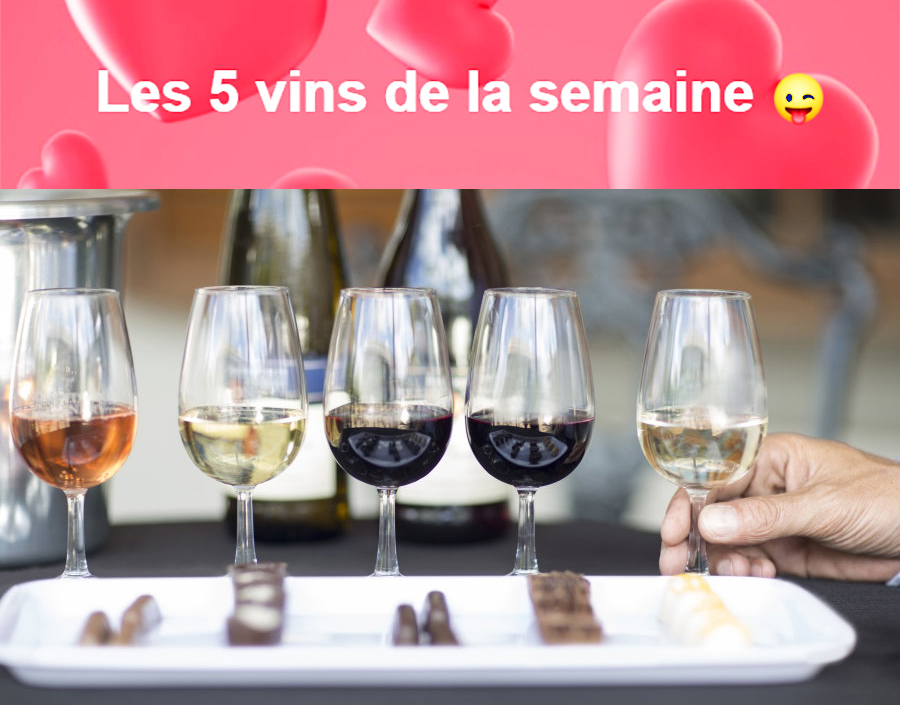 Club des Dégustateurs de Grands Vins: Liste des vins suggérés pour ...