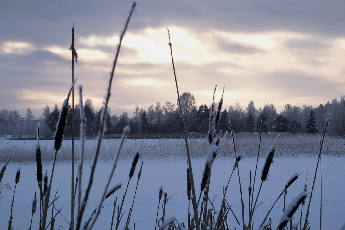 Harakan sivut: JÄÄTÄ ja TALVIKUVIA