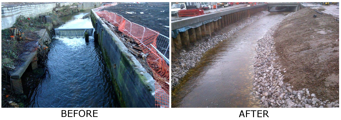 Dunton Environmental Limited