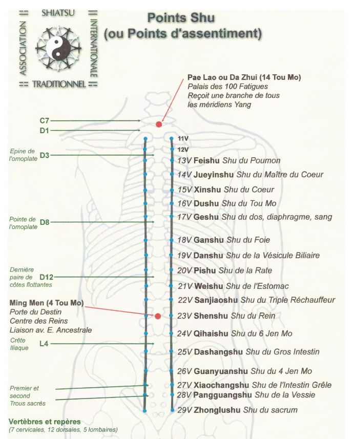 Blog Le Souffle du Menhir: Les points Bei Shu Xue / Bèi Shū Xué Shu ...