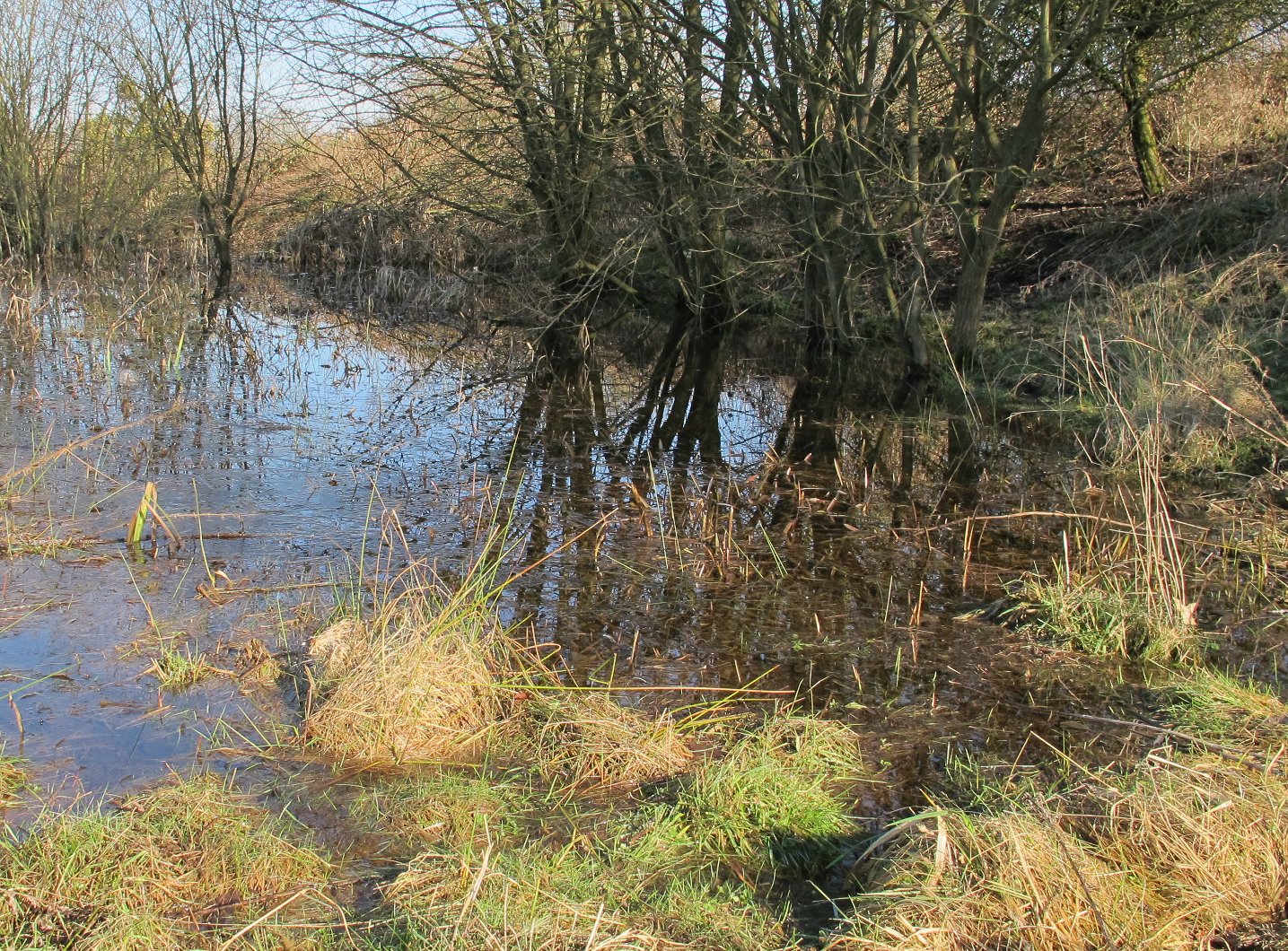 Aldridge Photographic Society: Pelsall North Common