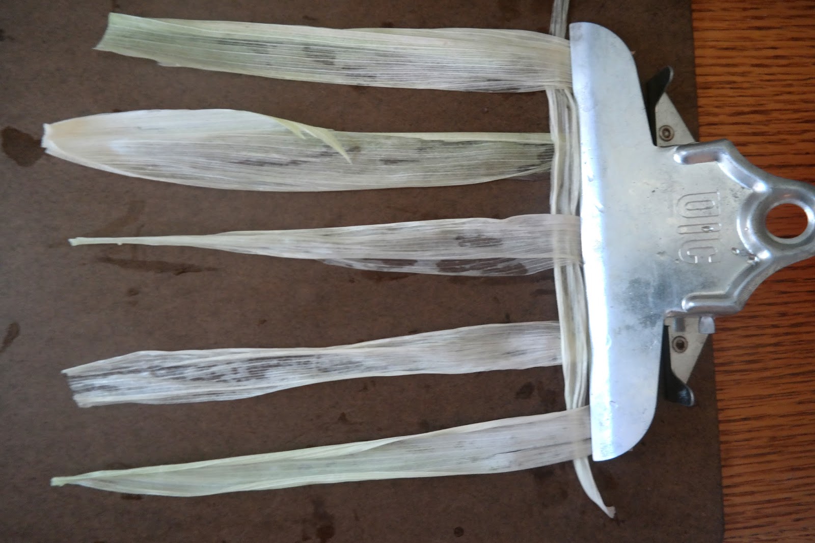 Glimmercat Education: Making "Papyrus" Paper From Corn Husks