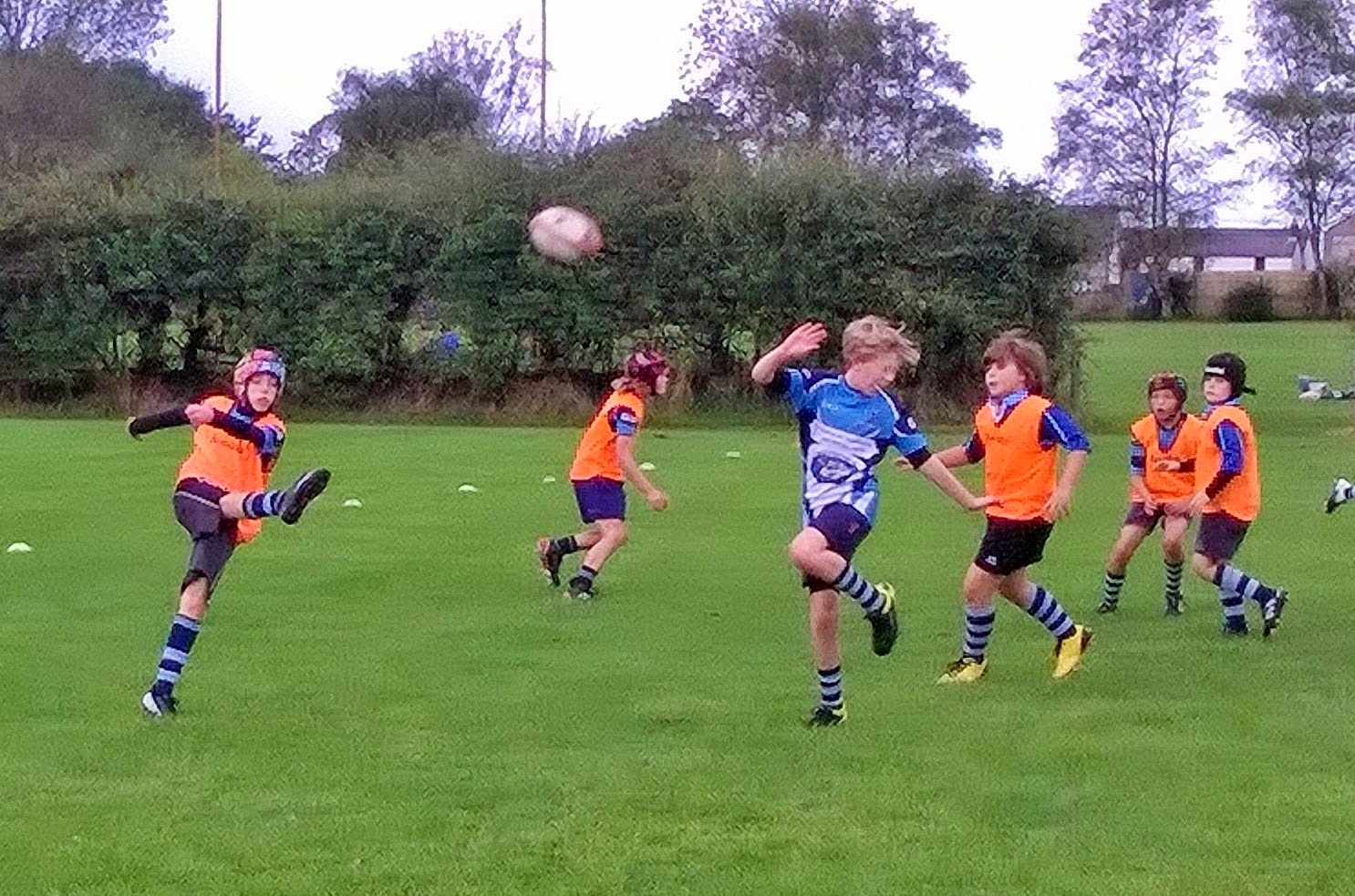 Mumbles Dragons Under 11's Rugby Team: Mixed game with the Mumbles ...
