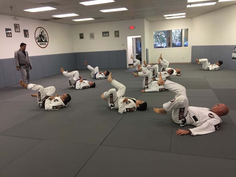 Blog do Olivar: REGIS CALIXTO: HISTÓRIA VIVA EM EVOLUÇÃO NO JIUJITSU.