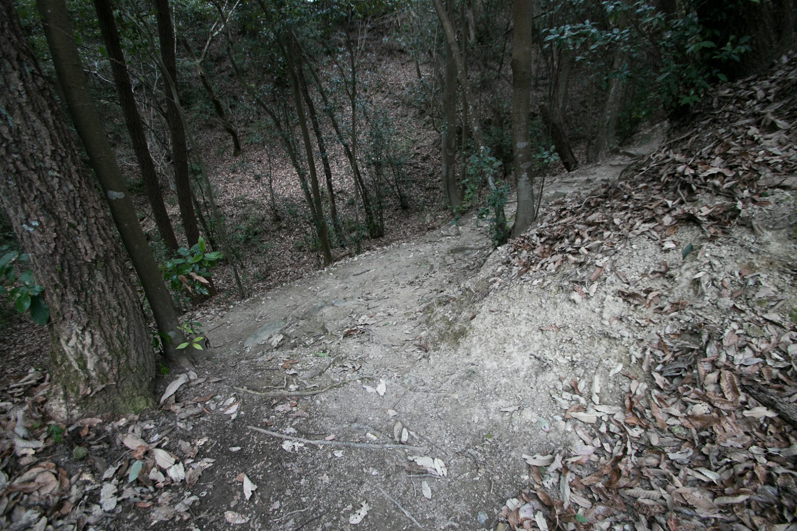 Niitakayama Castle -Intellectual pillar of Mouri clan (2)- | Japan ...
