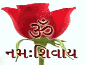 Animated Jokes: Animated OM Picture