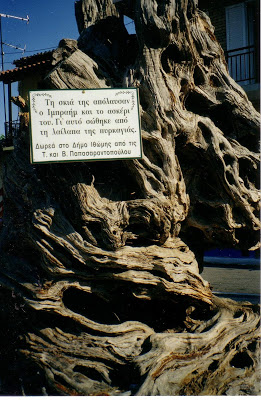 ΓΙΑΝΝΗΣ Δ.ΛΥΡΑΣ: 1929-2002 ΚΑΙΝΟΤΟΜΑ ΕΚΠΑΙΔΕΥΤΙΚΑ ΠΡΟΓΡΑΜΜΑΤΑ