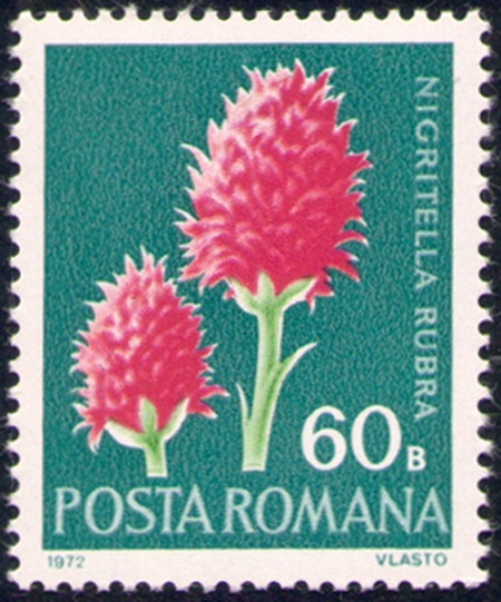 Timbre filatelice: Timbre filatelice romanesti cu flori rare din Romania