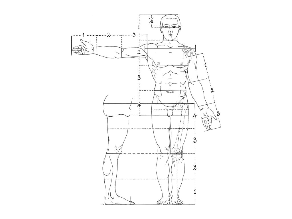 Artistic anatomy by dr. paul richer pdf - nsameme