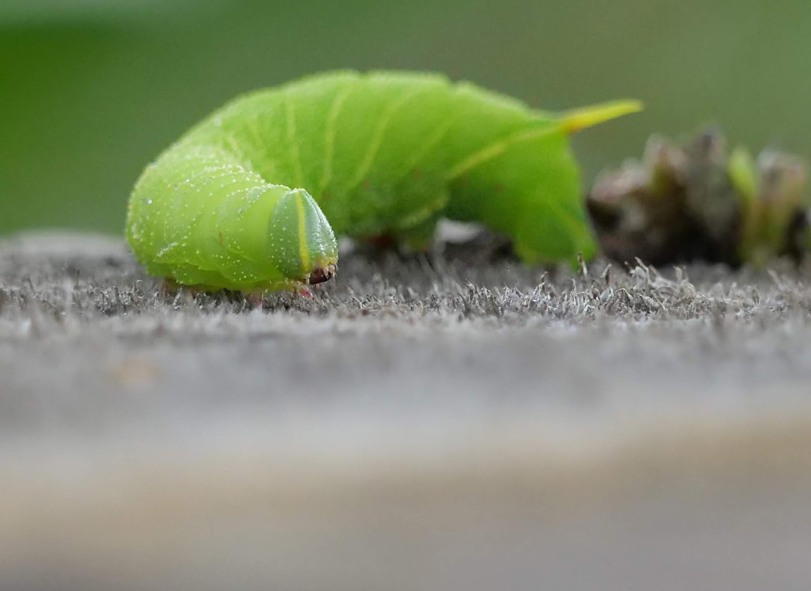 AMSTERDAMSE WATERLEIDINGDUINEN AWD: Het Ultieme Herfstgevoel